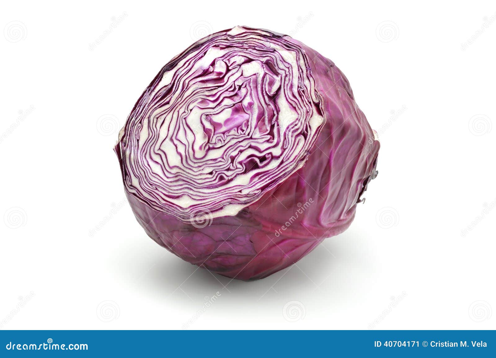 Red cabbage stock image. Image of isolated, fresh, cabage - 40704171