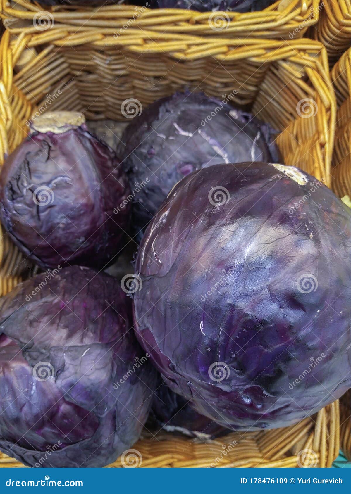 Red Cabbage on the Shelf in the Store Stock Image - Image of macro ...
