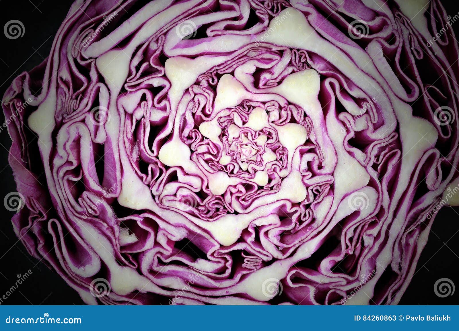 Red Cabbage Slice Isolated on Black, Macro Stock Image - Image of ...