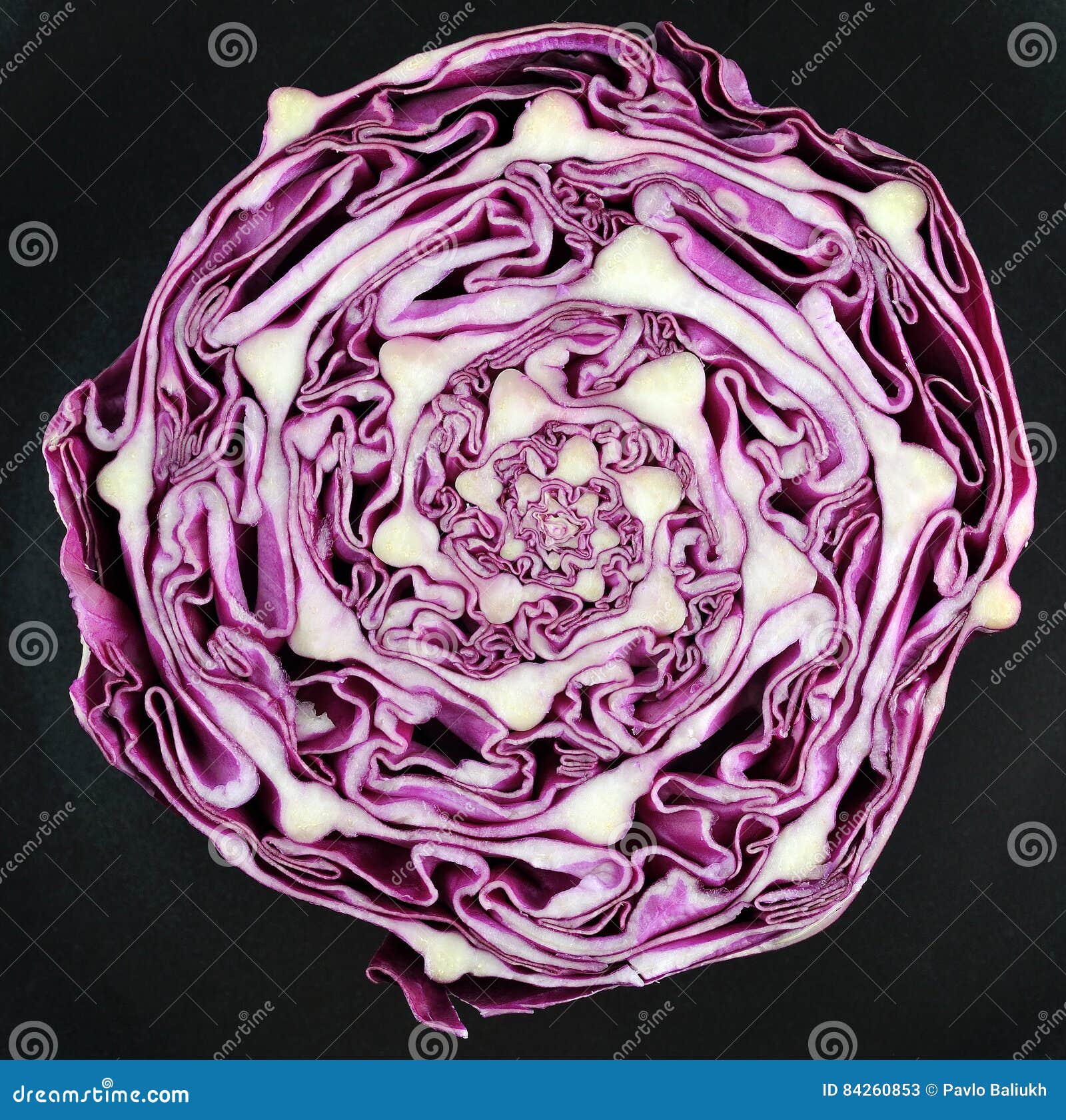 Red Cabbage Slice Isolated on Black, Top View, Square Photo Stock Image ...