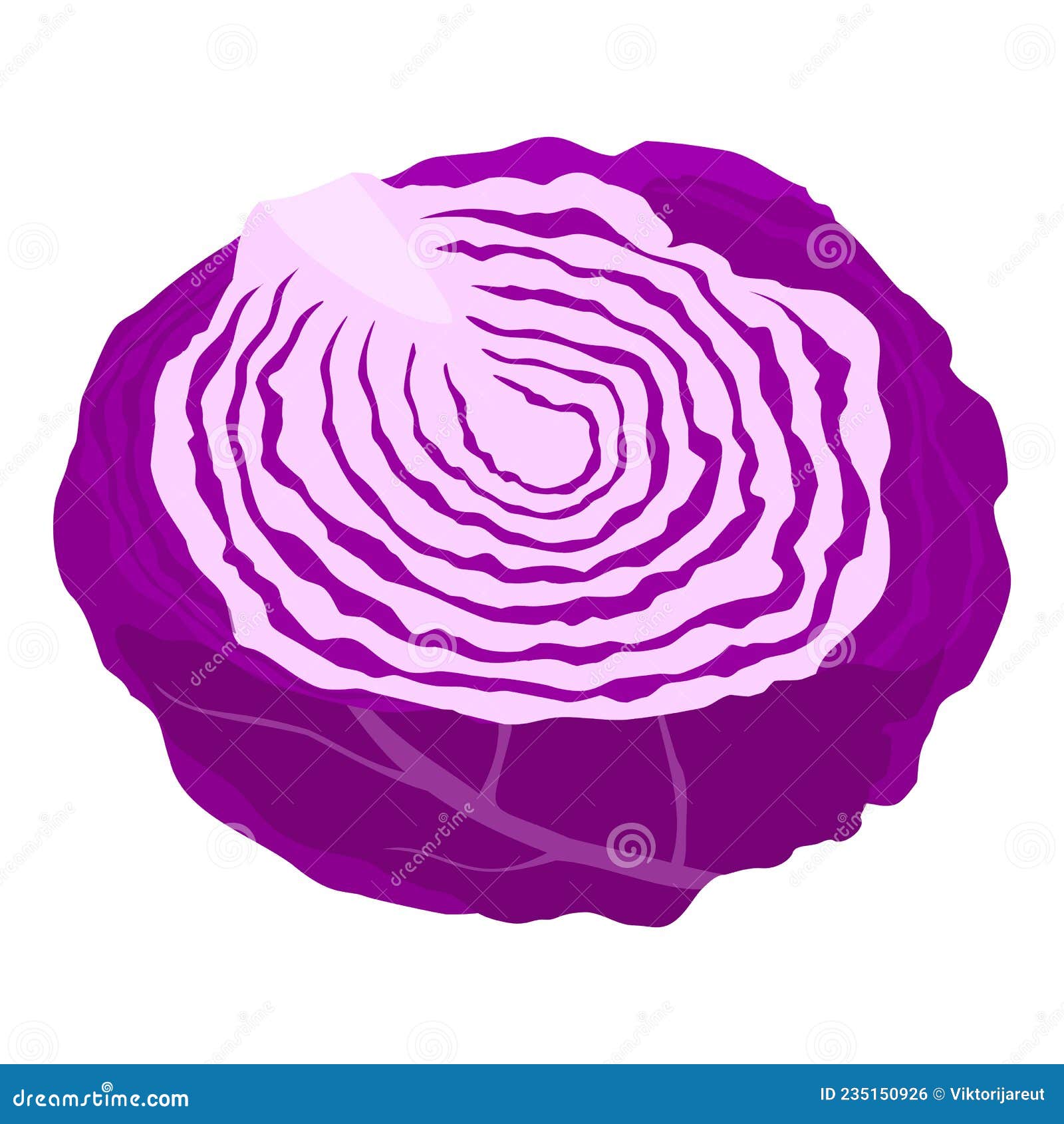 Red Cabbage Slice Isolated on White Background, Isometric View Stock ...