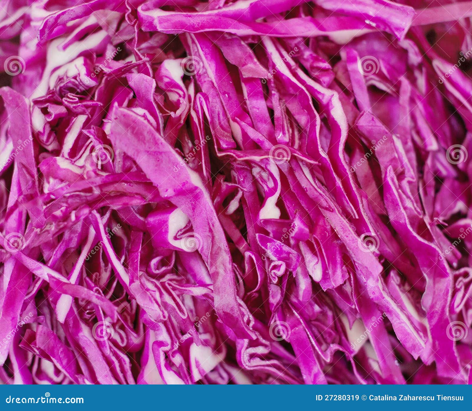 Red cabbage texture stock image. Image of salad, texture - 27280319