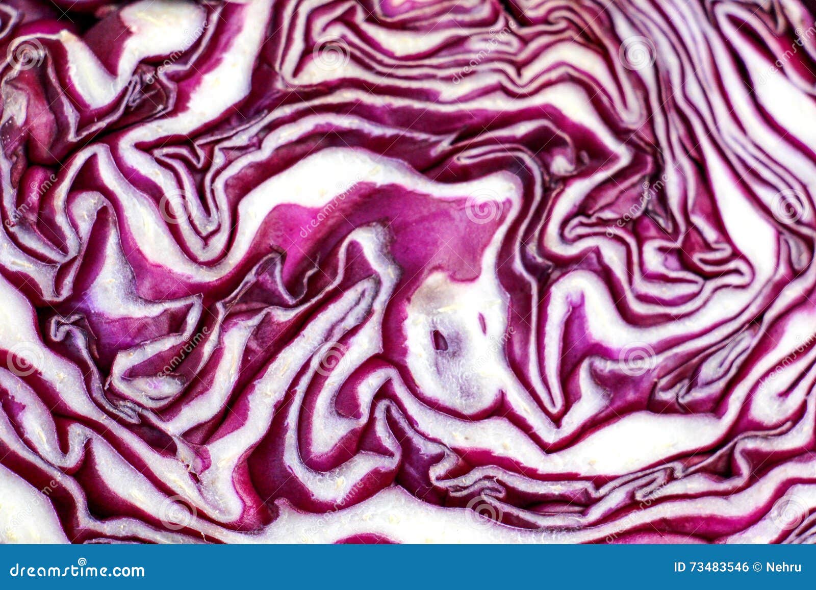 Red cabbage texture stock photo. Image of fresh, vegetable - 73483546