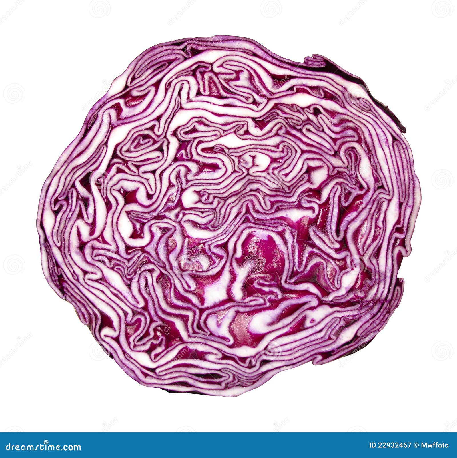 Red Cabbage on White Background Stock Image - Image of calories, plant ...