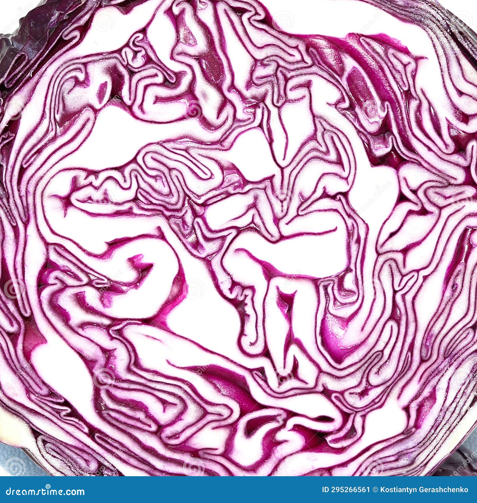 Red Cabbage on White Background Stock Image - Image of organic, garden ...