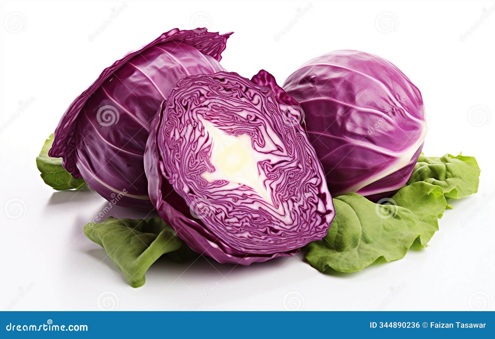 Red Cabbage White Background Stock Illustration - Illustration of ...