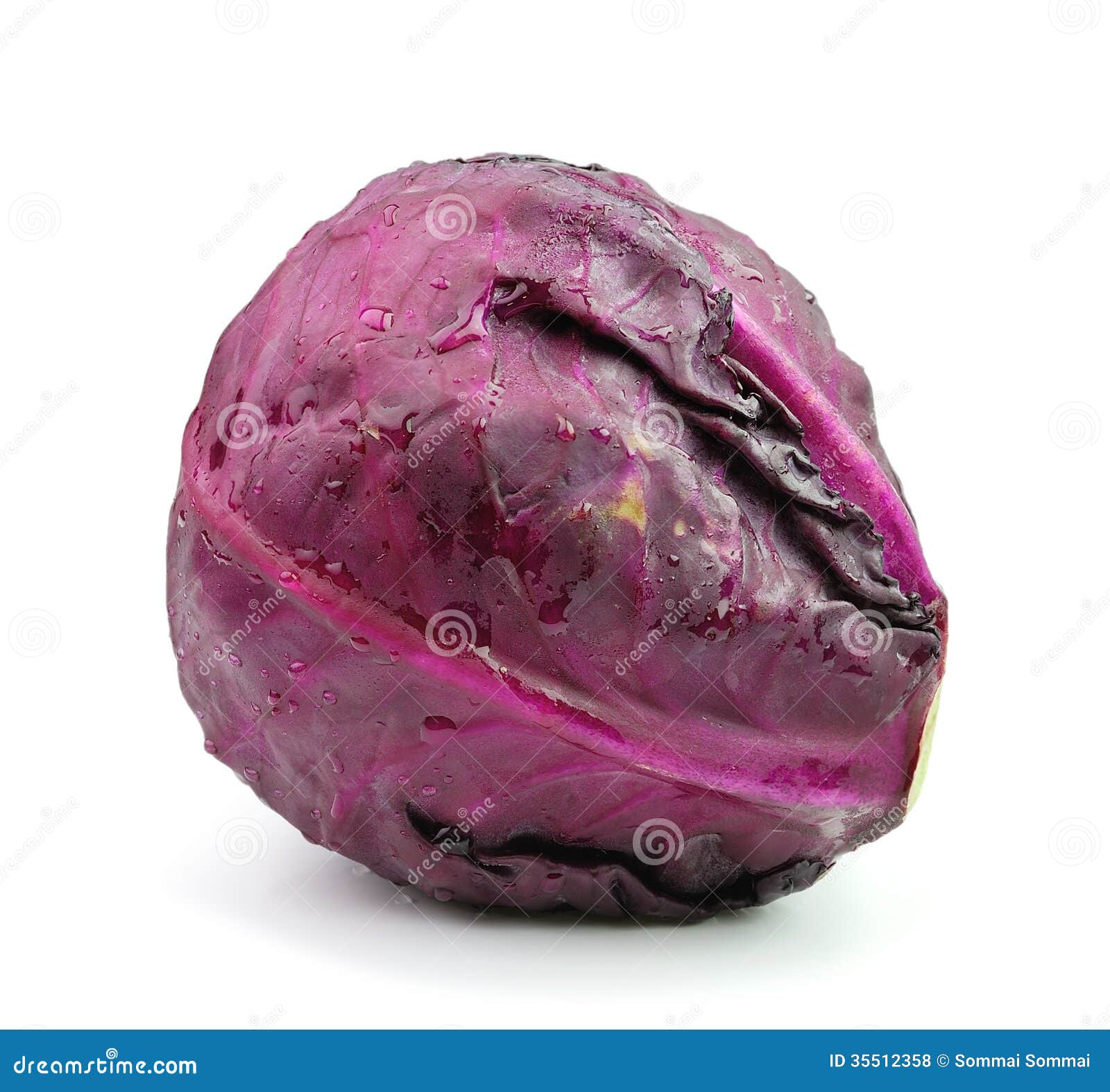 Red Cabbage on White Background Stock Photo - Image of head, single ...