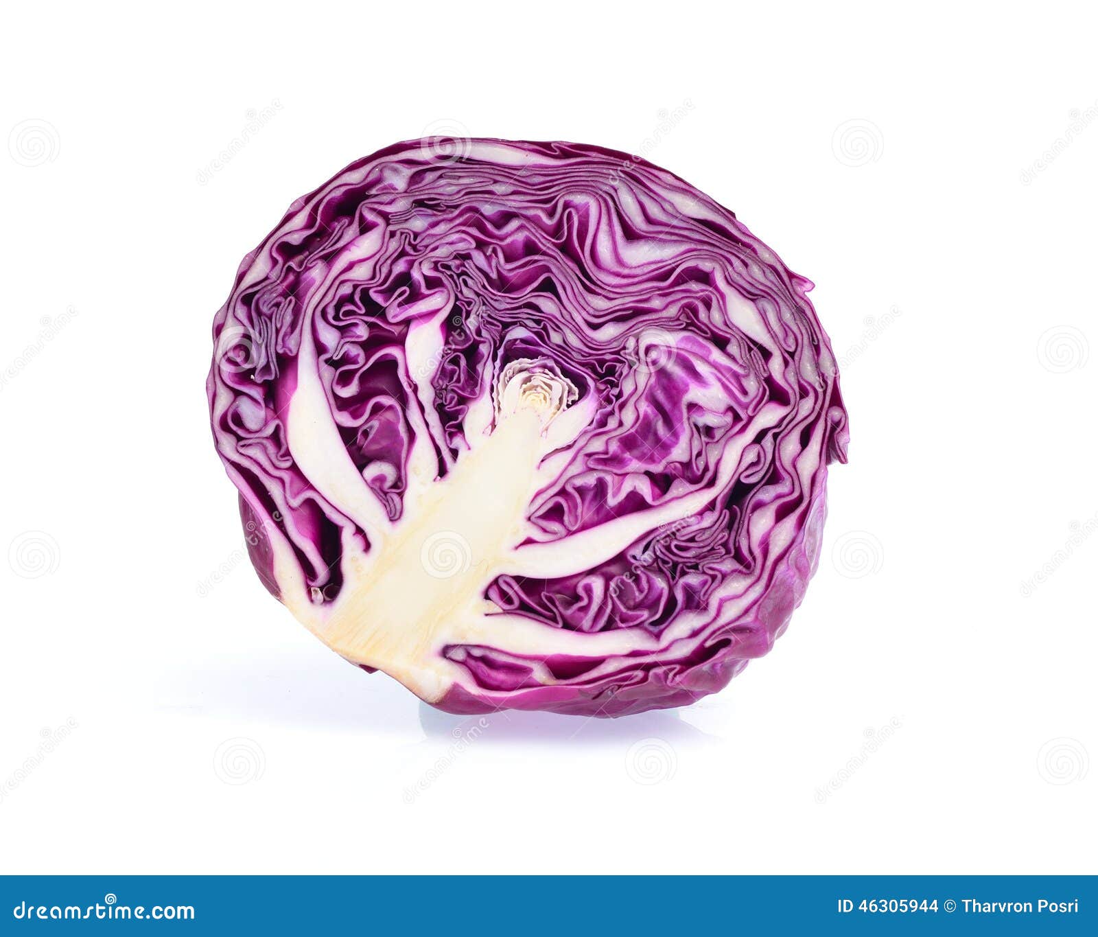 Red Cabbage on White Background Stock Photo - Image of healthy, head ...