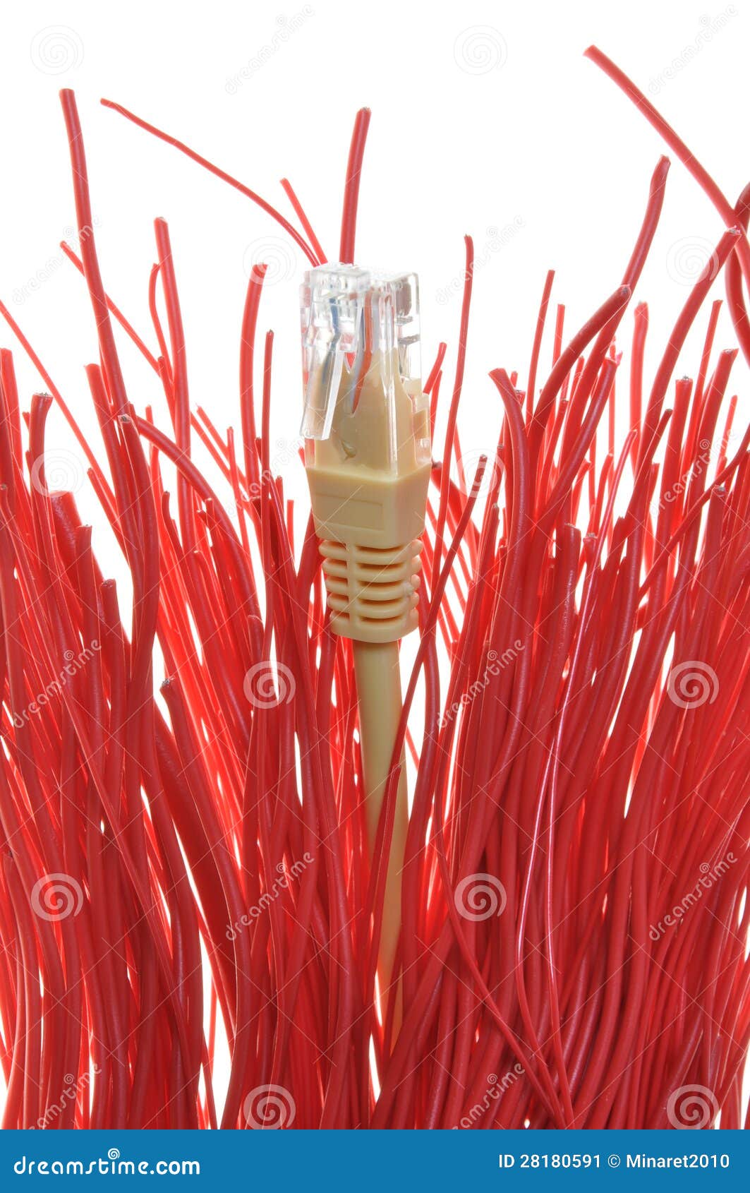 Red cables and single plug stock image. Image of macro - 28180591