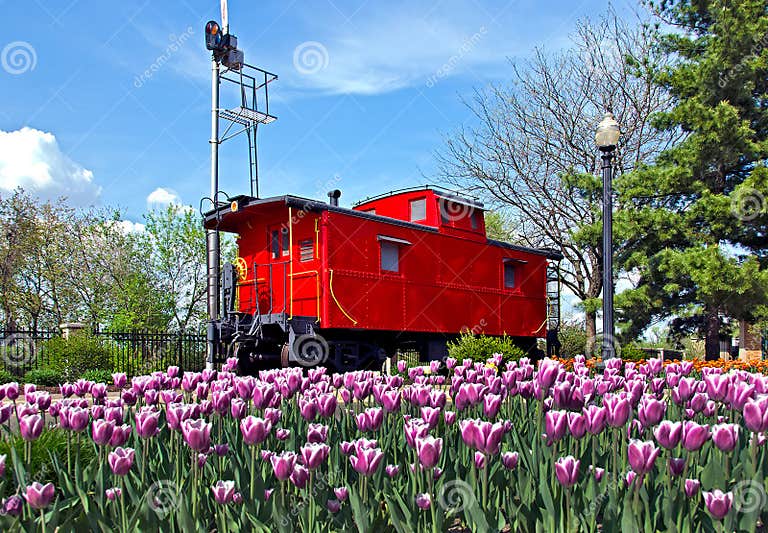 Red caboose with tulips stock photo. Image of pink, light - 34552496