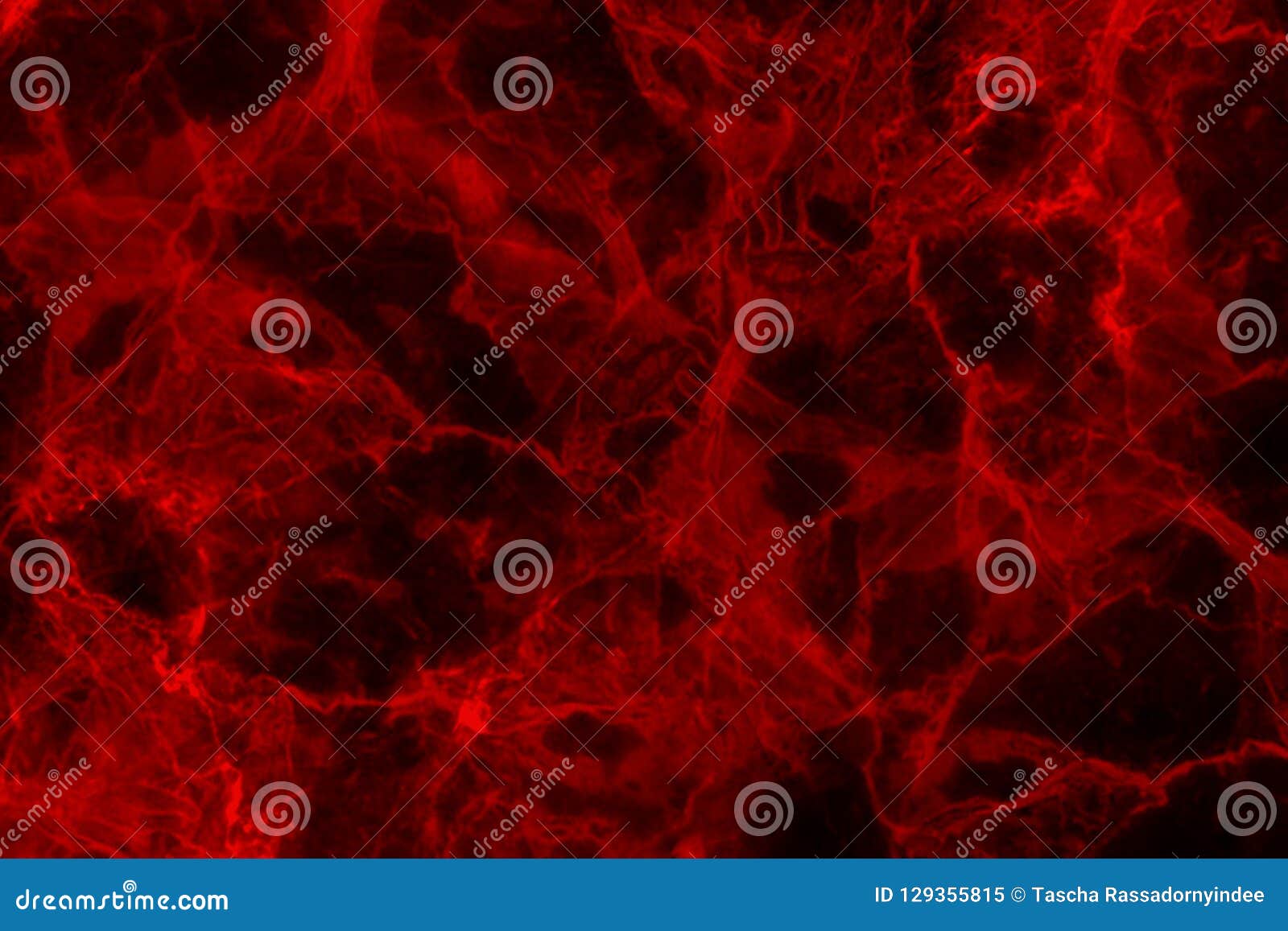 Red Calacatta Marble Texture of a Natural White and Grey Stone Tile ...