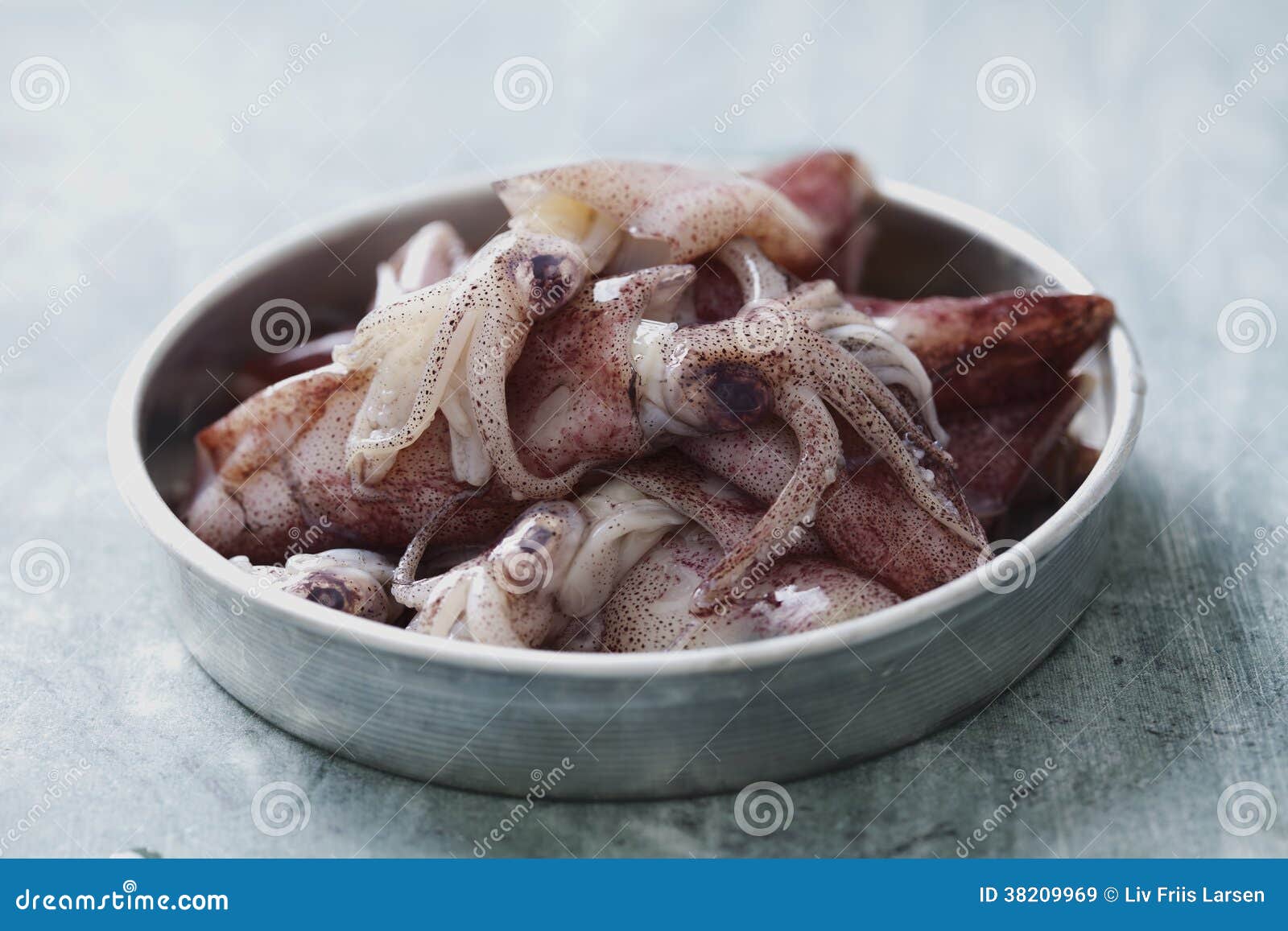 Red calamari stock image. Image of uncooked, life, mediterranean - 38209969