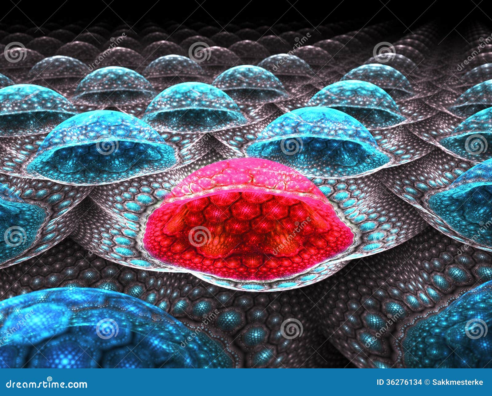 Cell Theory For Evolution And Pre Existing Cells Development Outline ...