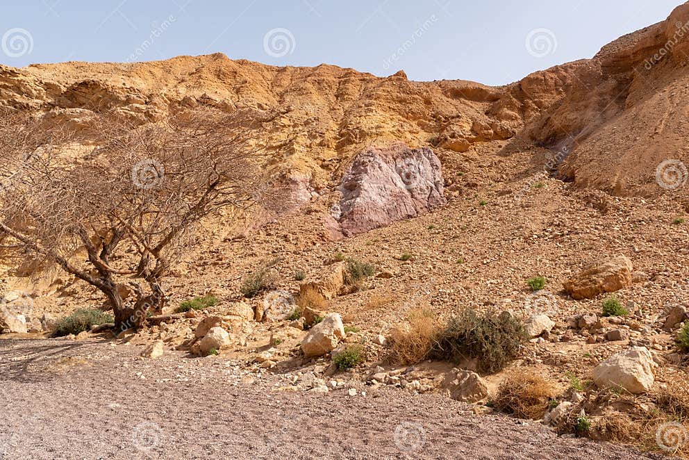 Red Canyon in Southern Israel. Natural Rock Formations. Stock Photo ... Red Canyon in Southern Israel. Natural Rock Formations. Stock Photo ...