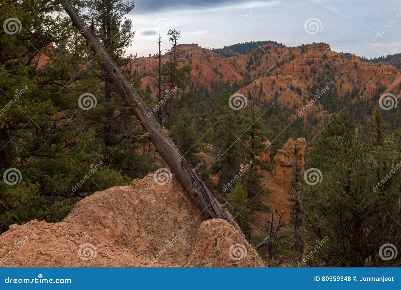 Red Canyon in Utah stock photo. Image of canyon, goblin - 80559348