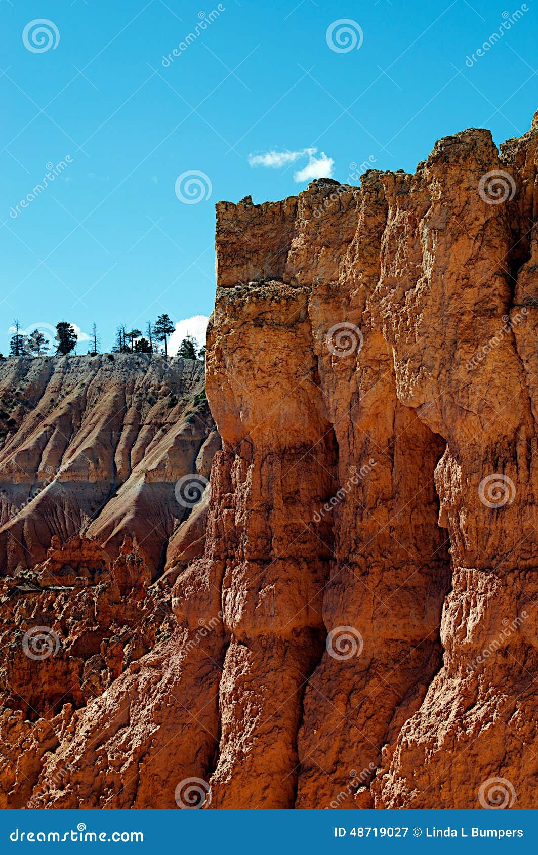 Red Canyon Utah editorial photography. Image of dixie - 48719027