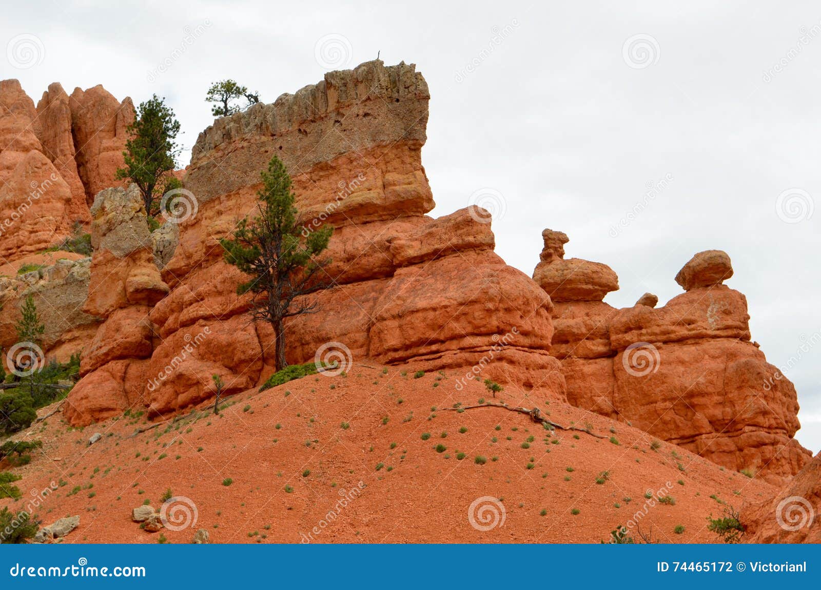 Red Canyon, Utah, USA stock photo. Image of black, desert - 74465172