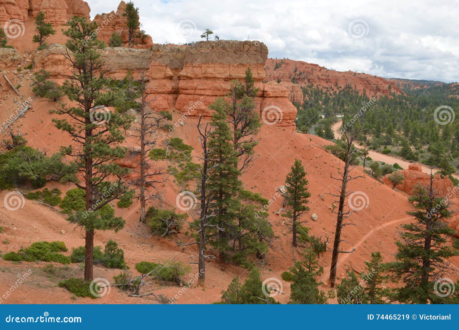Red Canyon, Utah, USA stock image. Image of outdoors - 74465219