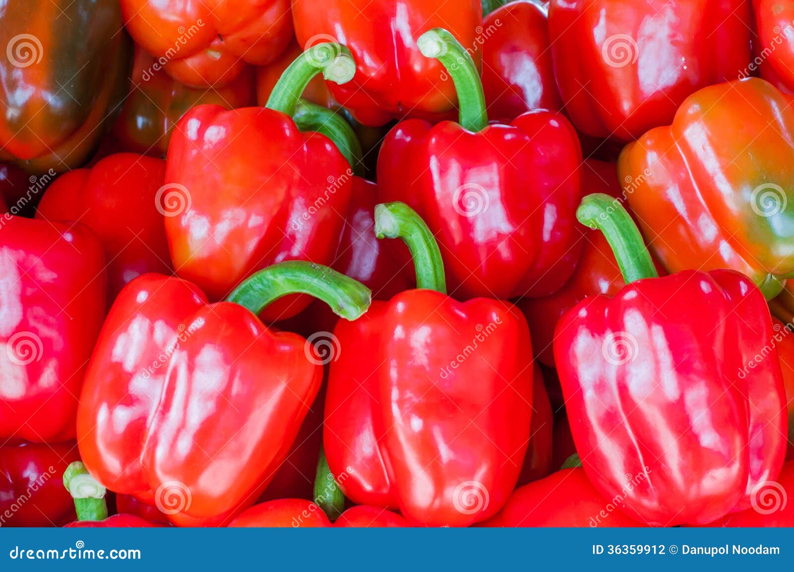 Red capsicum stock photo. Image of fruit, nature, food - 36359912