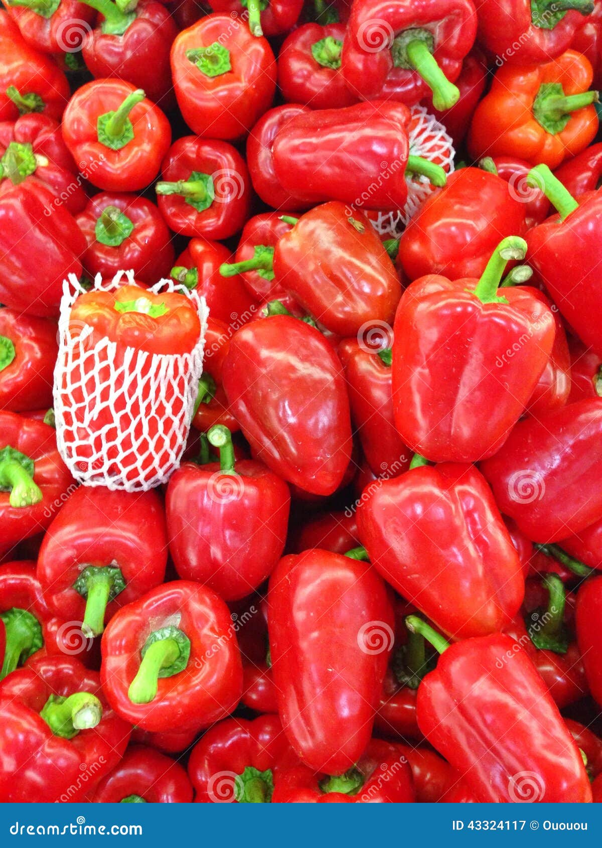 Red Capsicum stock image. Image of wrap, spicy, capsicum - 43324117