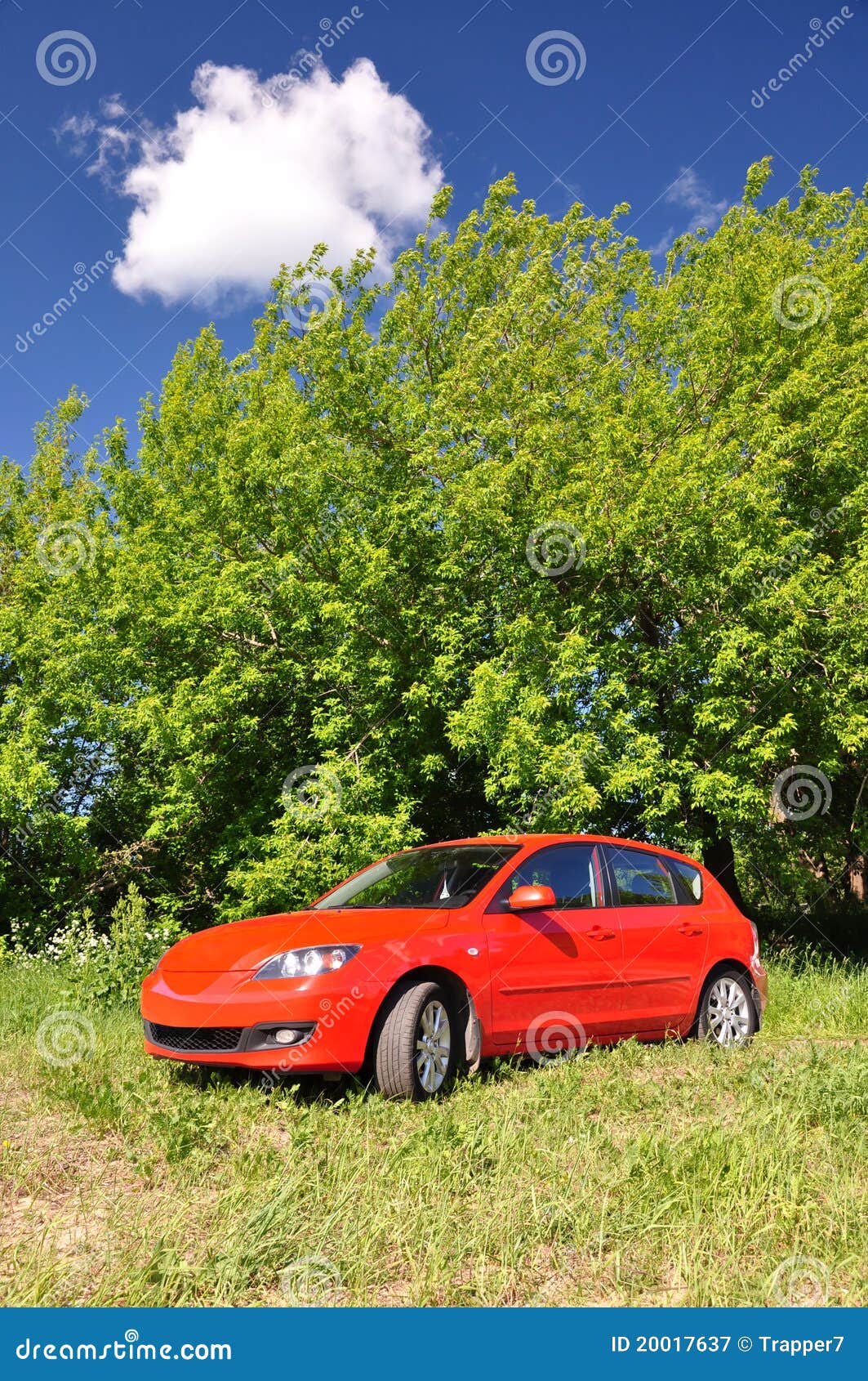 Red Car in the Countryside. Stock Image - Image of transportation, hood ...