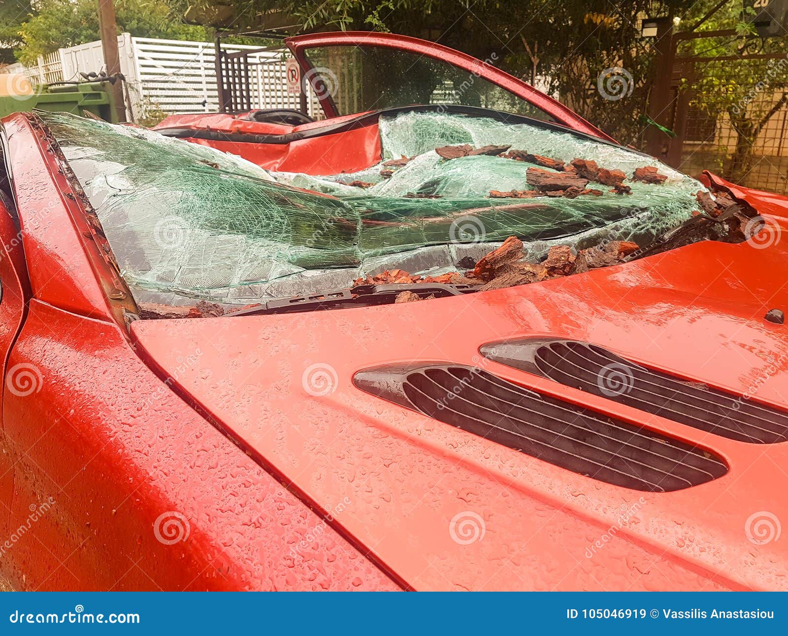 Red Car Destroyed by a Tree after a Strong Storm. Stock Image - Image ...