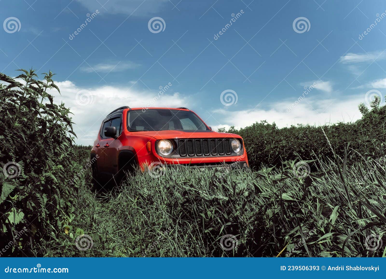 Red Car on a Field Road in Green Grass Stock Image - Image of freedom ...