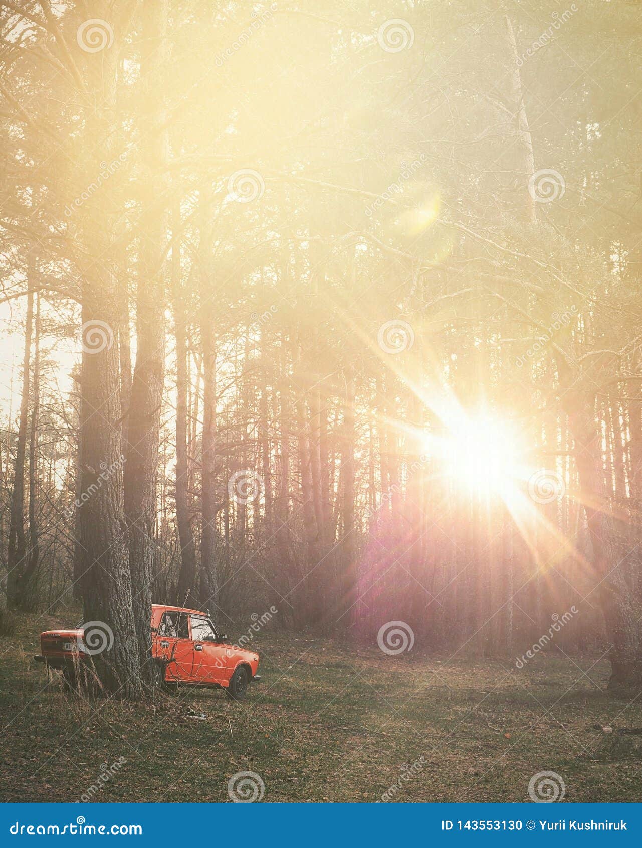 Red Car Near the Tree in the Forest in Sunny Day. Stock Photo - Image ...