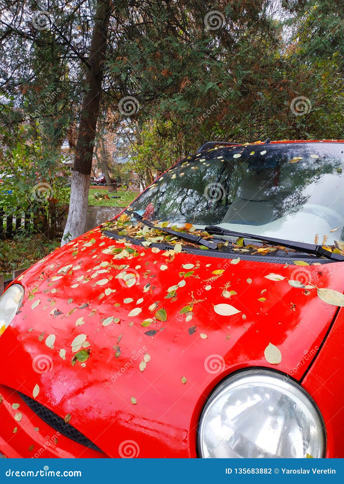 Red Car Standing with Maple Autumn Leaves Stock Photo - Image of ...