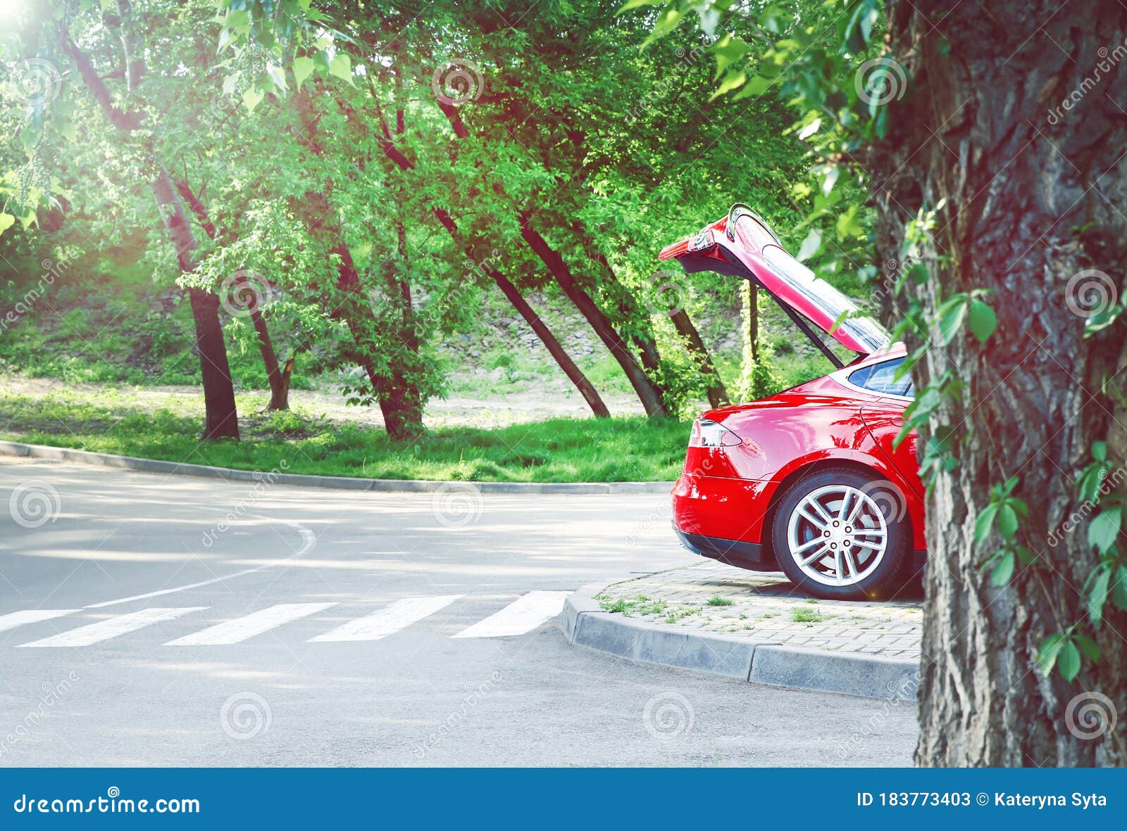Red Car among Trees in Nature Editorial Stock Photo - Image of park ...