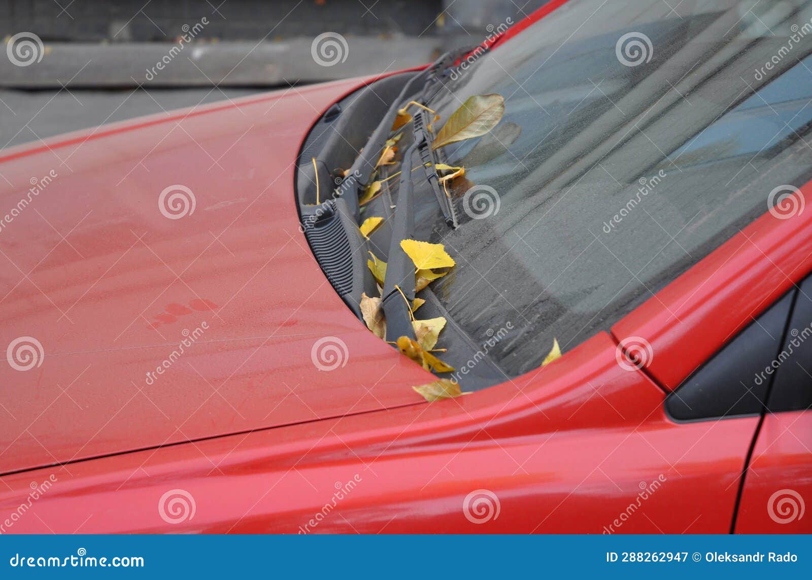 Red Car Windshield with Dust and Yellow Fallen Leaves in Autumn Stock ...