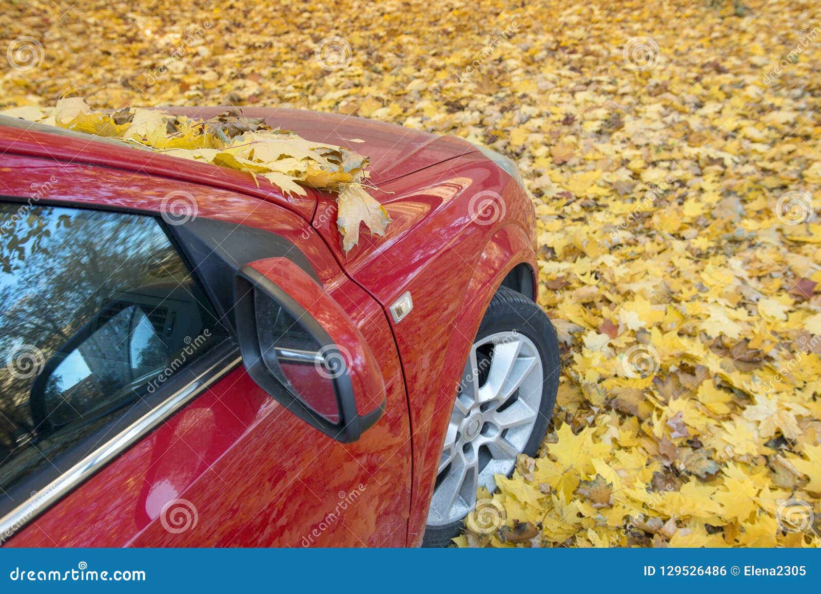 Red Car and Yellow Autumn Maple Leaves Stock Photo - Image of detail ...