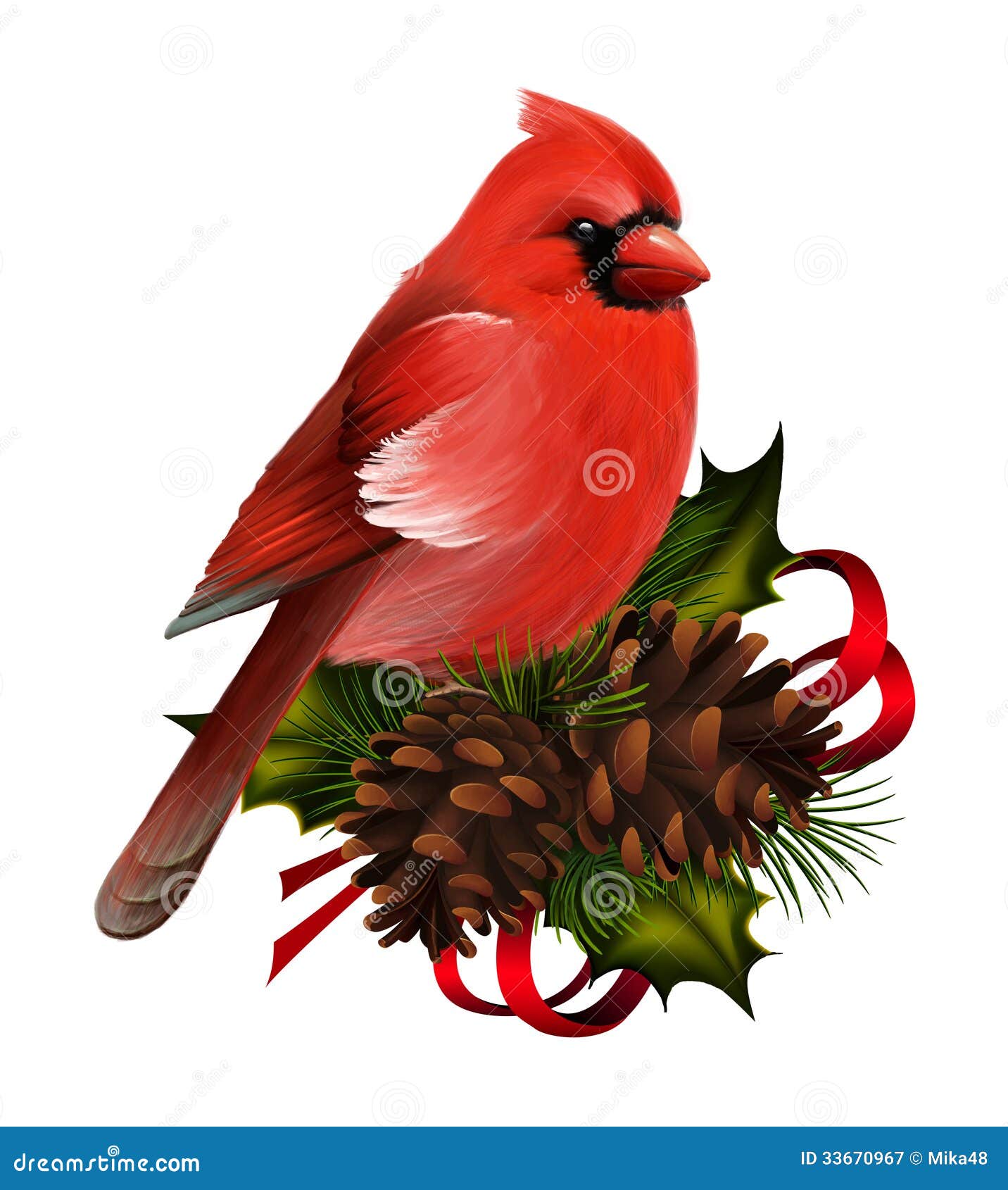 Red cardinal stock illustration. Illustration of evergreen - 33670967