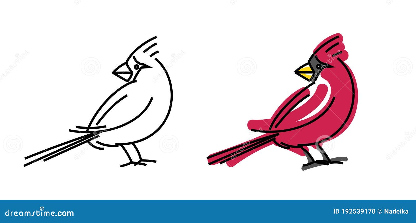 Red Cardinal Small Bird Portrait Stock Vector - Illustration of ...