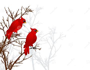 Red Cardinals Sitting in Tree Stock Illustration - Illustration of ...