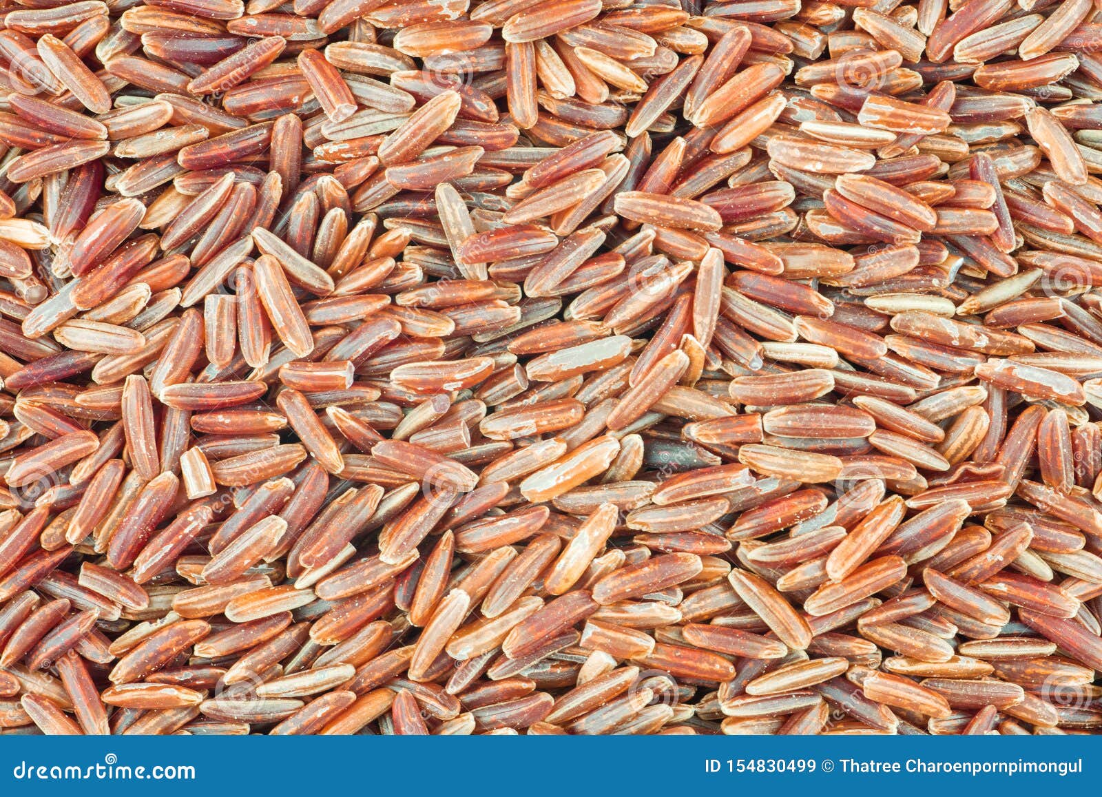 Red cargo rice background stock image. Image of macro - 154830499