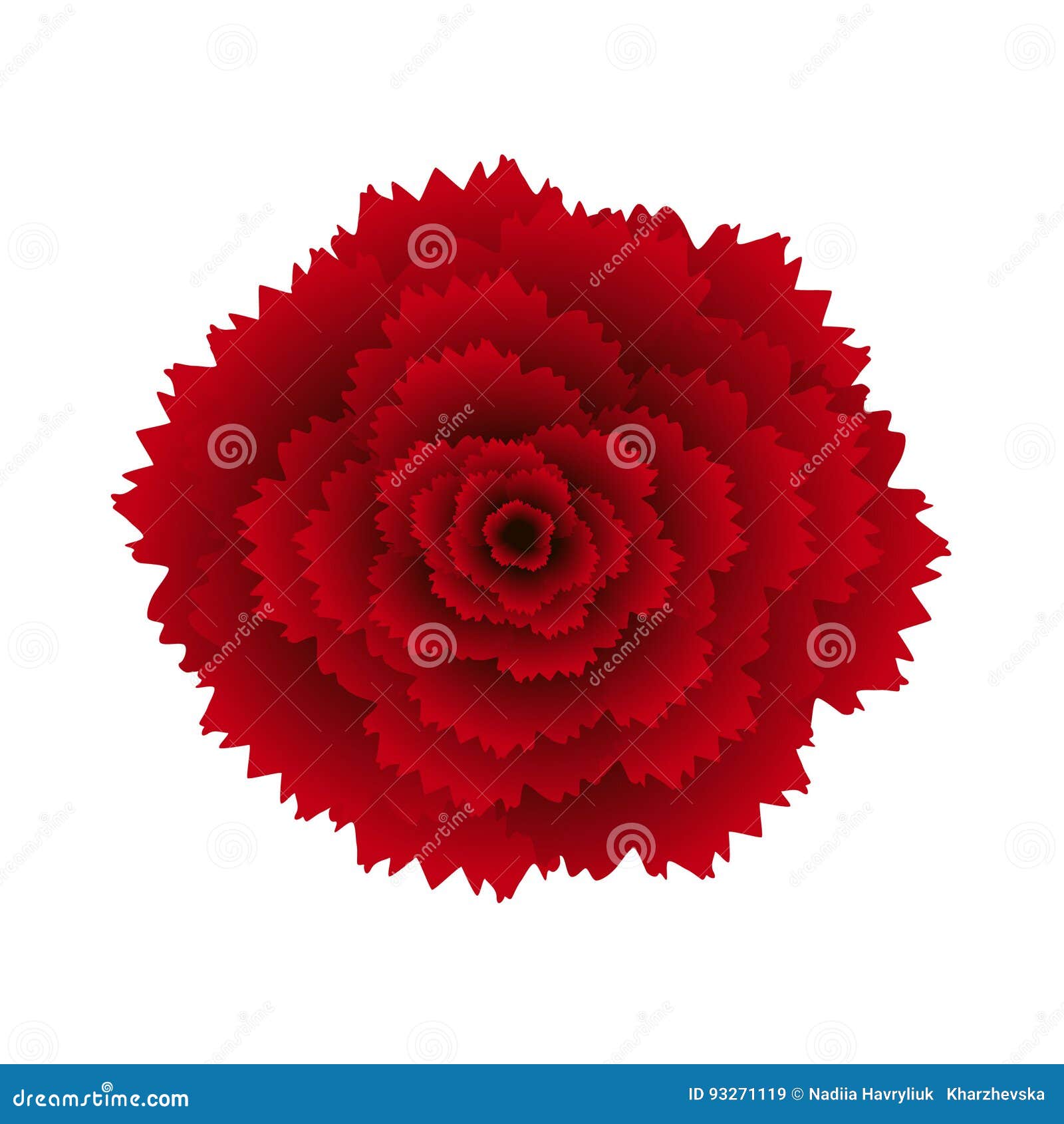 Red Carnation Isolated On White Background. Cartoon Vector ...