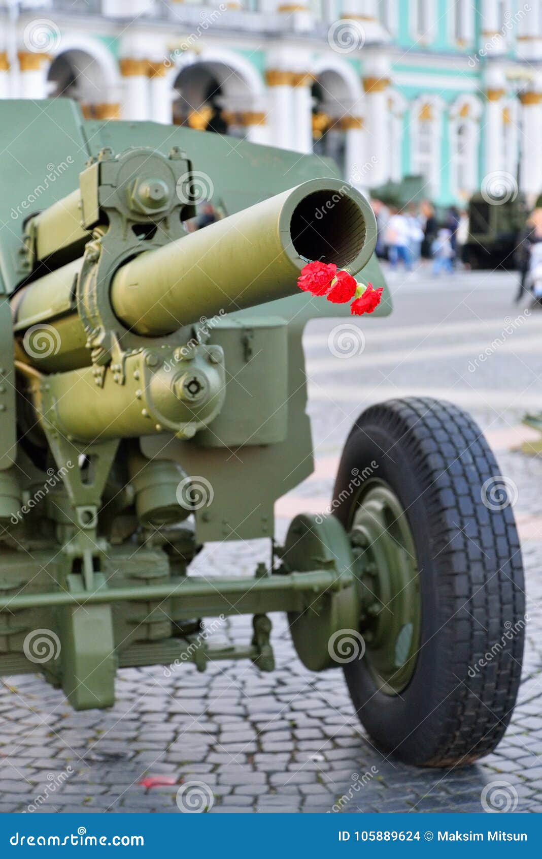 Red Carnations in the Barrel of the Artillery Guns on the Palace Stock ...
