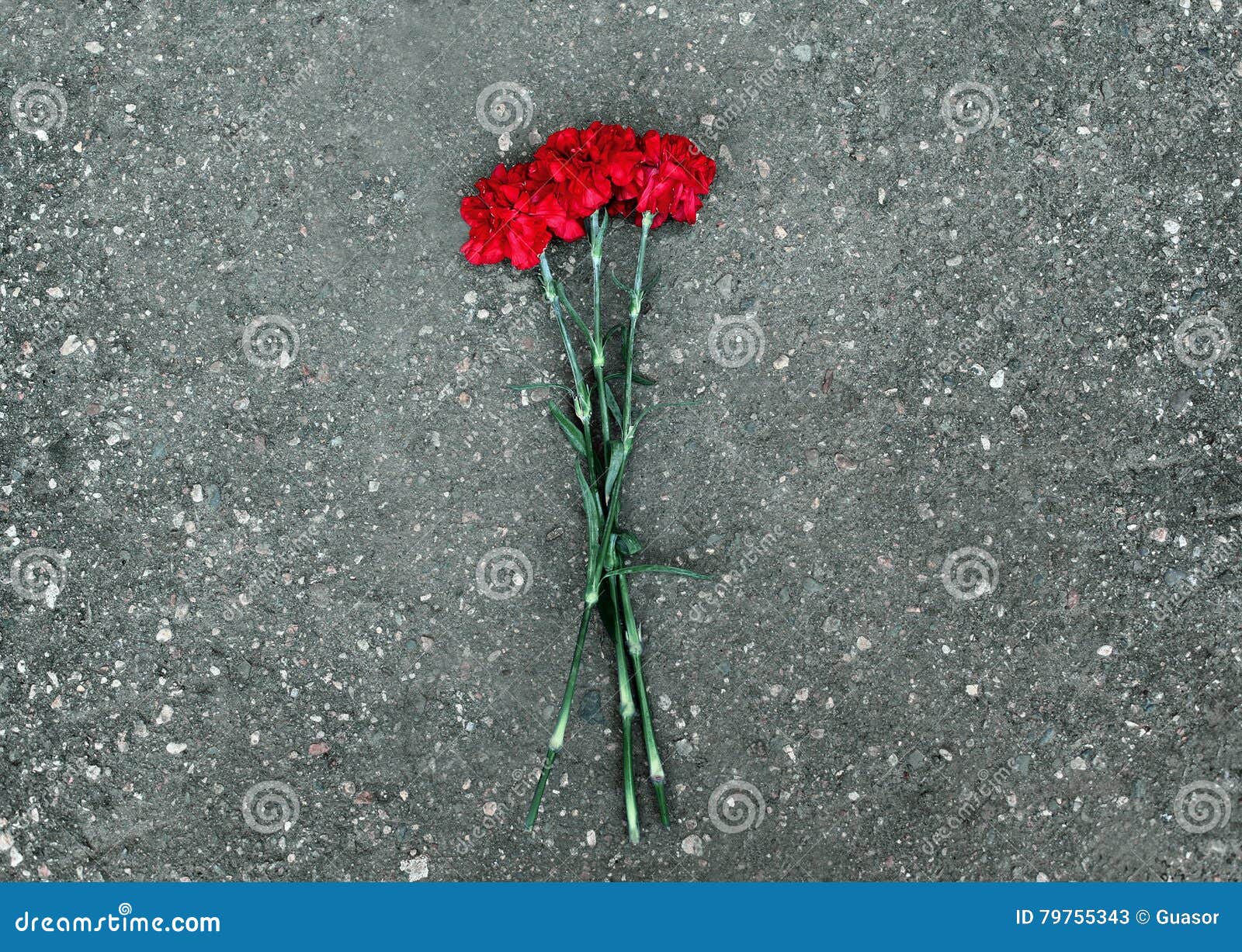 Red Carnations Flowers Lie on Pavement, Symbol, Rest in Peace Stock ...