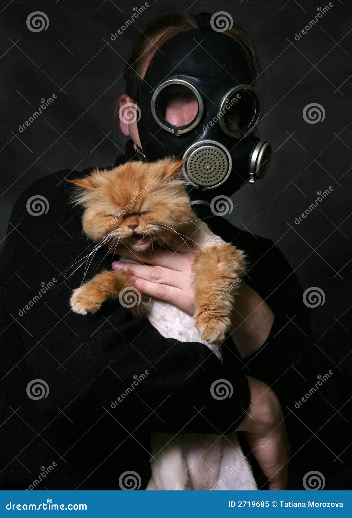 112 Cat Nuclear Stock Photos - Free & Royalty-Free Stock Photos from ...