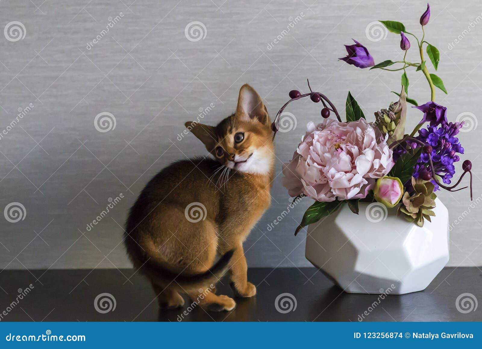 Red cat with flower vase stock photo. Image of domestic - 123256874