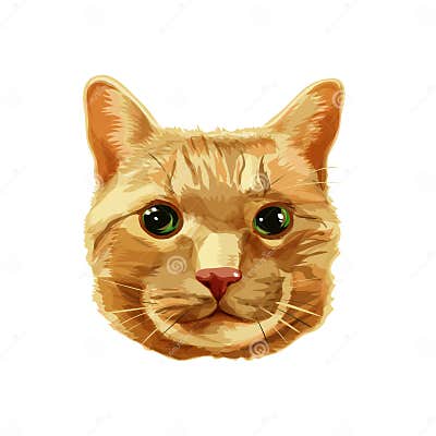 Red cat head vector stock vector. Illustration of kitten - 171476465