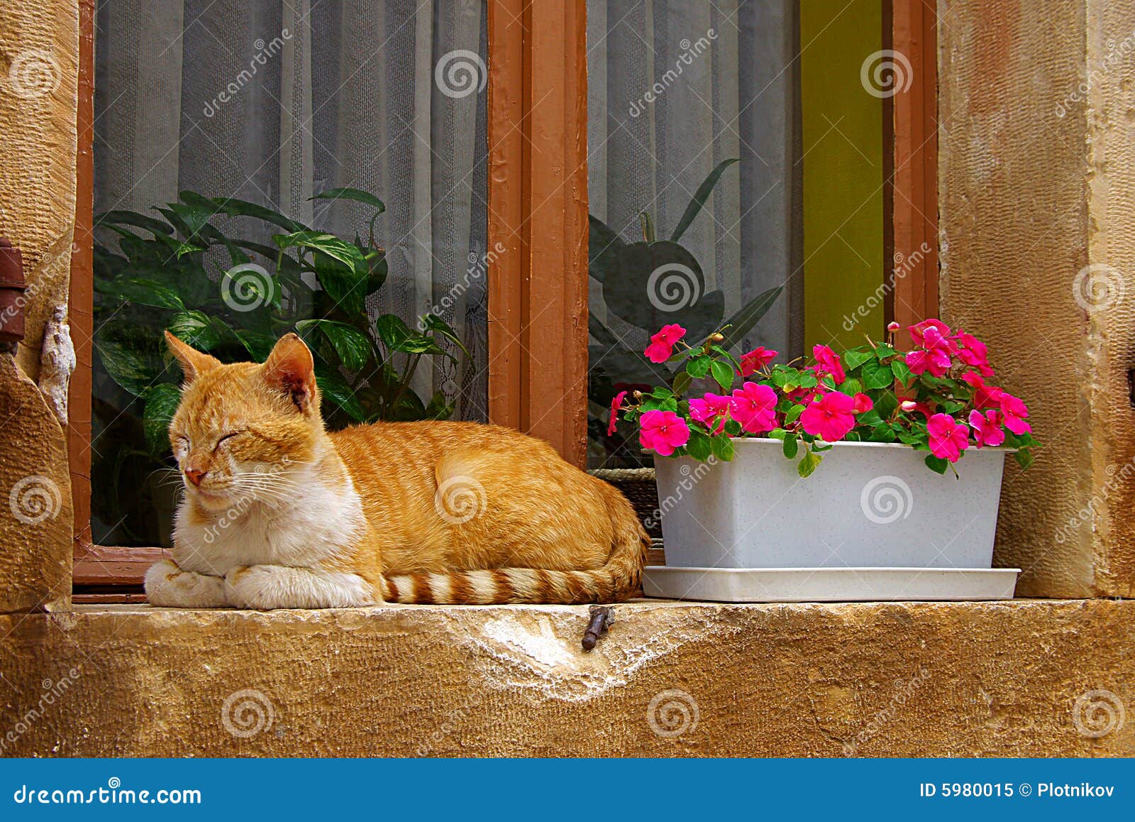 Red cat on a window sill stock image. Image of vintage - 5980015