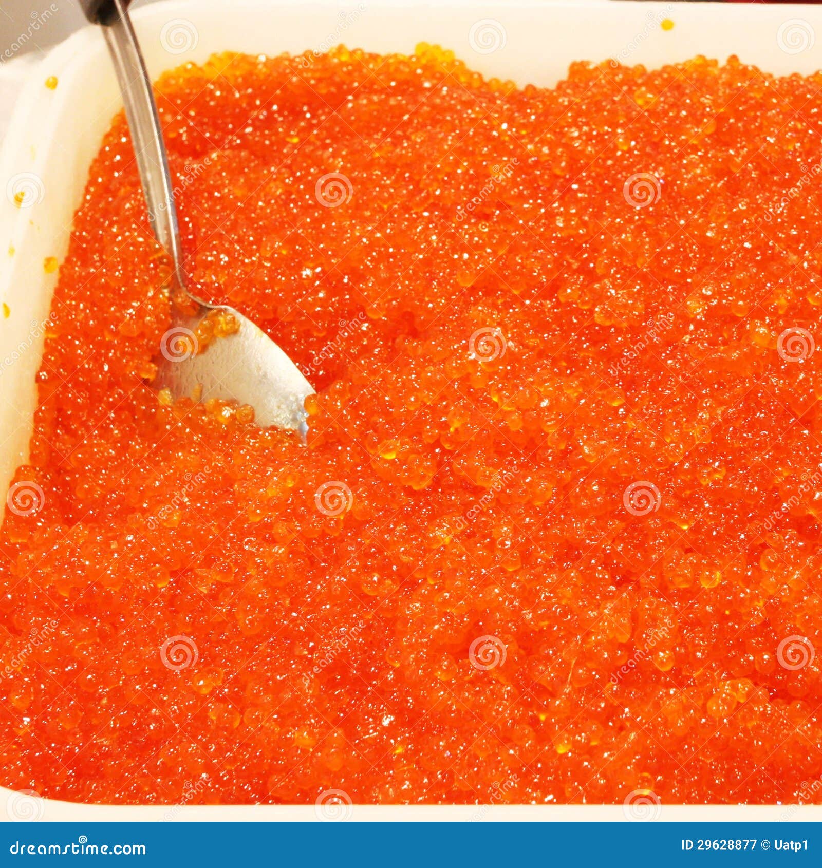 Red caviar stock image. Image of russia, orange, caviar - 29628877
