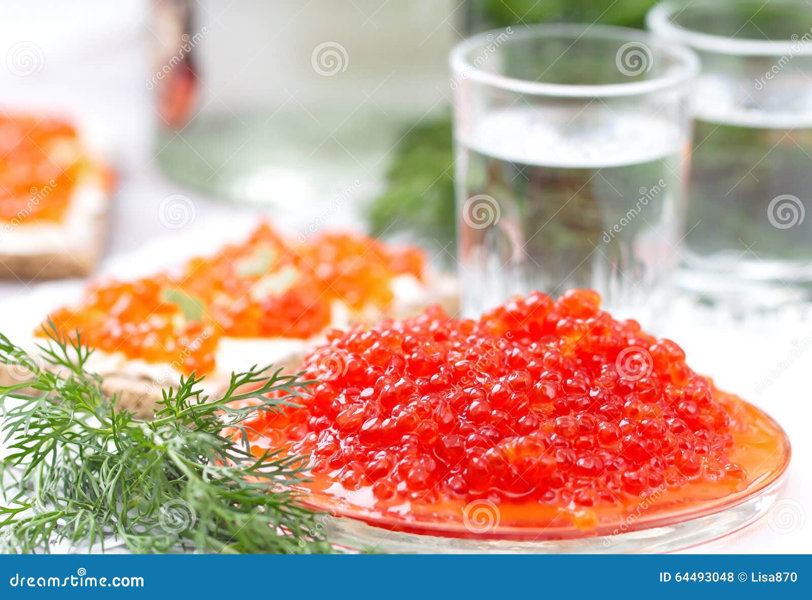 Red caviar and cold vodka stock photo. Image of holiday - 64493048