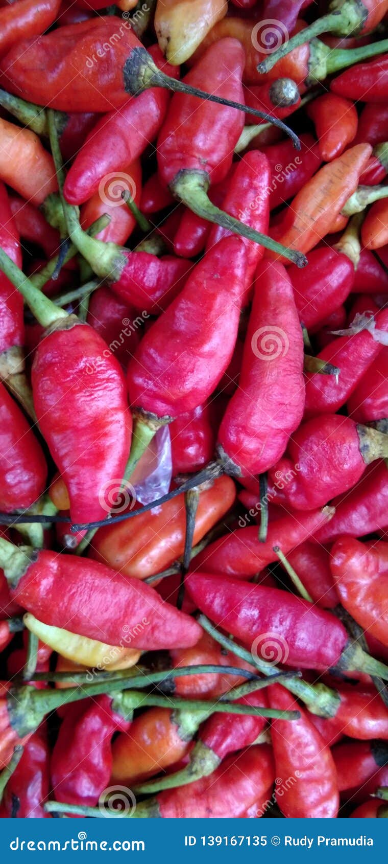 Red cayenne pepper stock image. Image of cayenne, spicy - 139167135