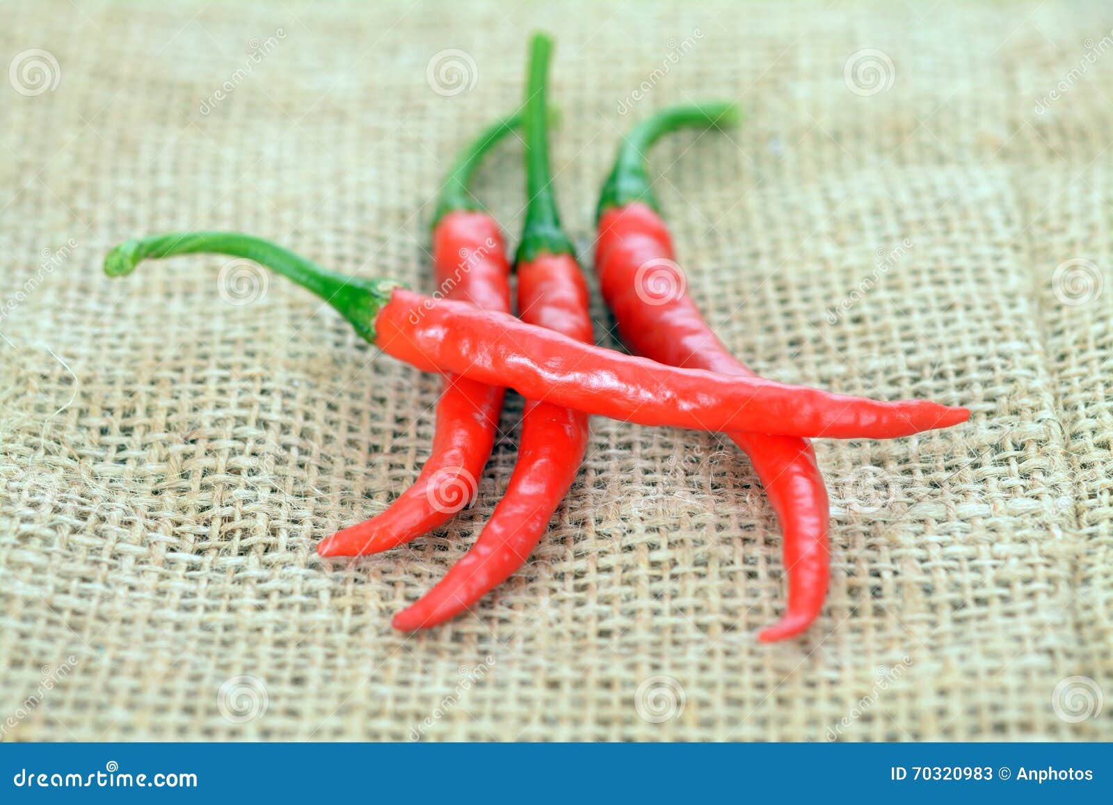 Red cayenne peppers stock image. Image of color, seasoning - 70320983