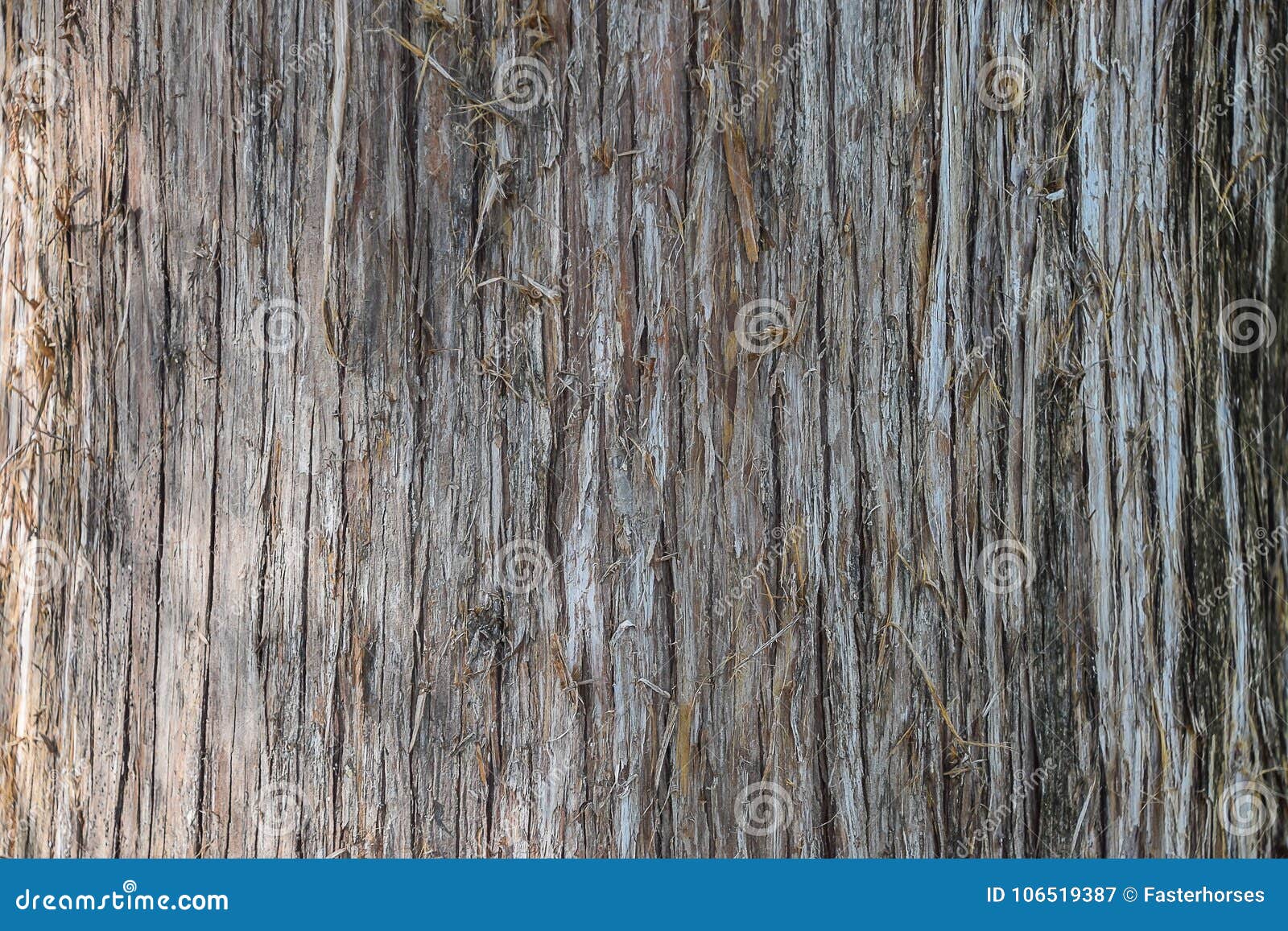 Red Cedar Tree Trunk Background. Stock Image - Image of details, cedar ...