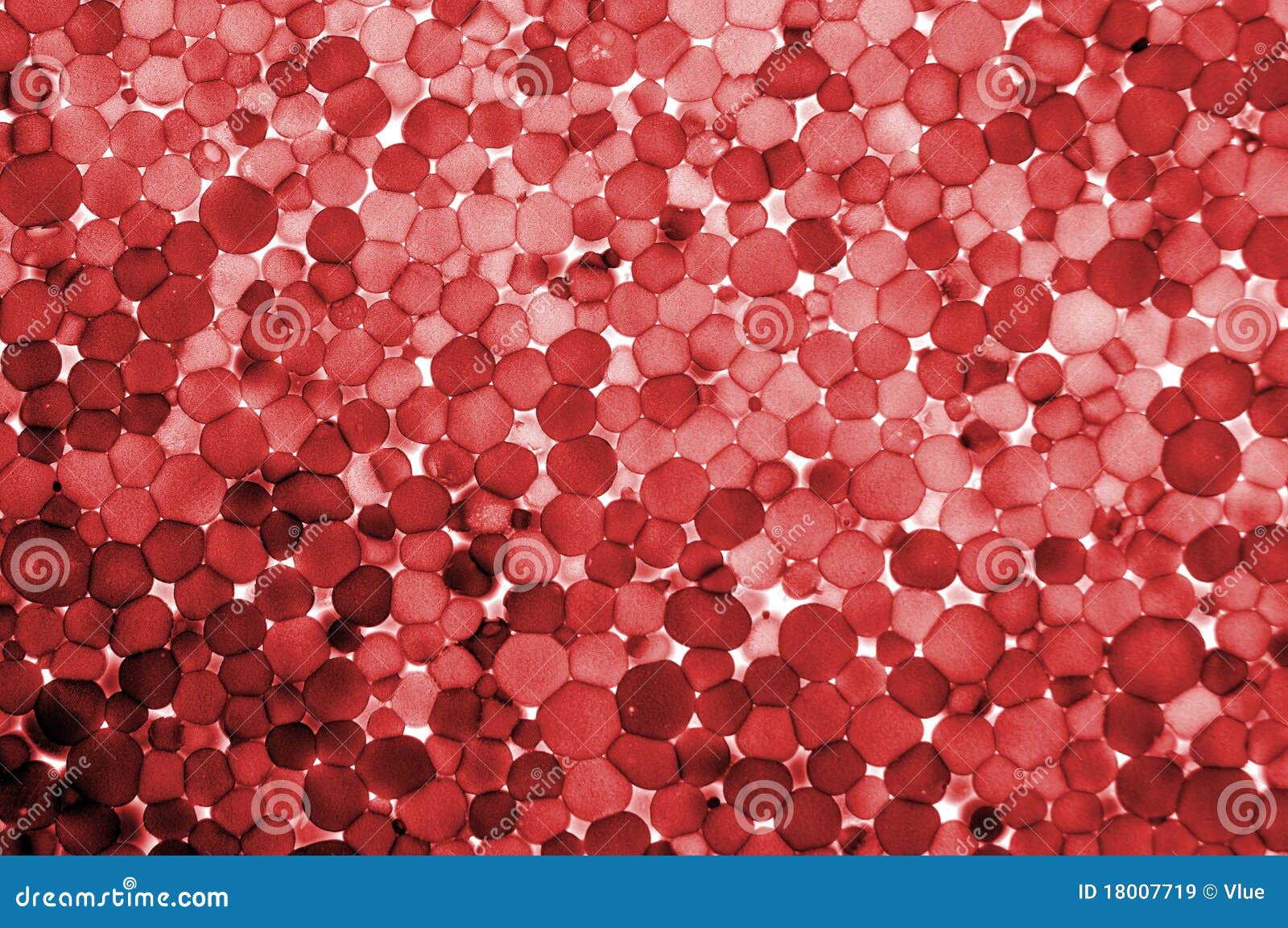 Red Cells stock image. Image of cancer, hormone, bacteria - 18007719