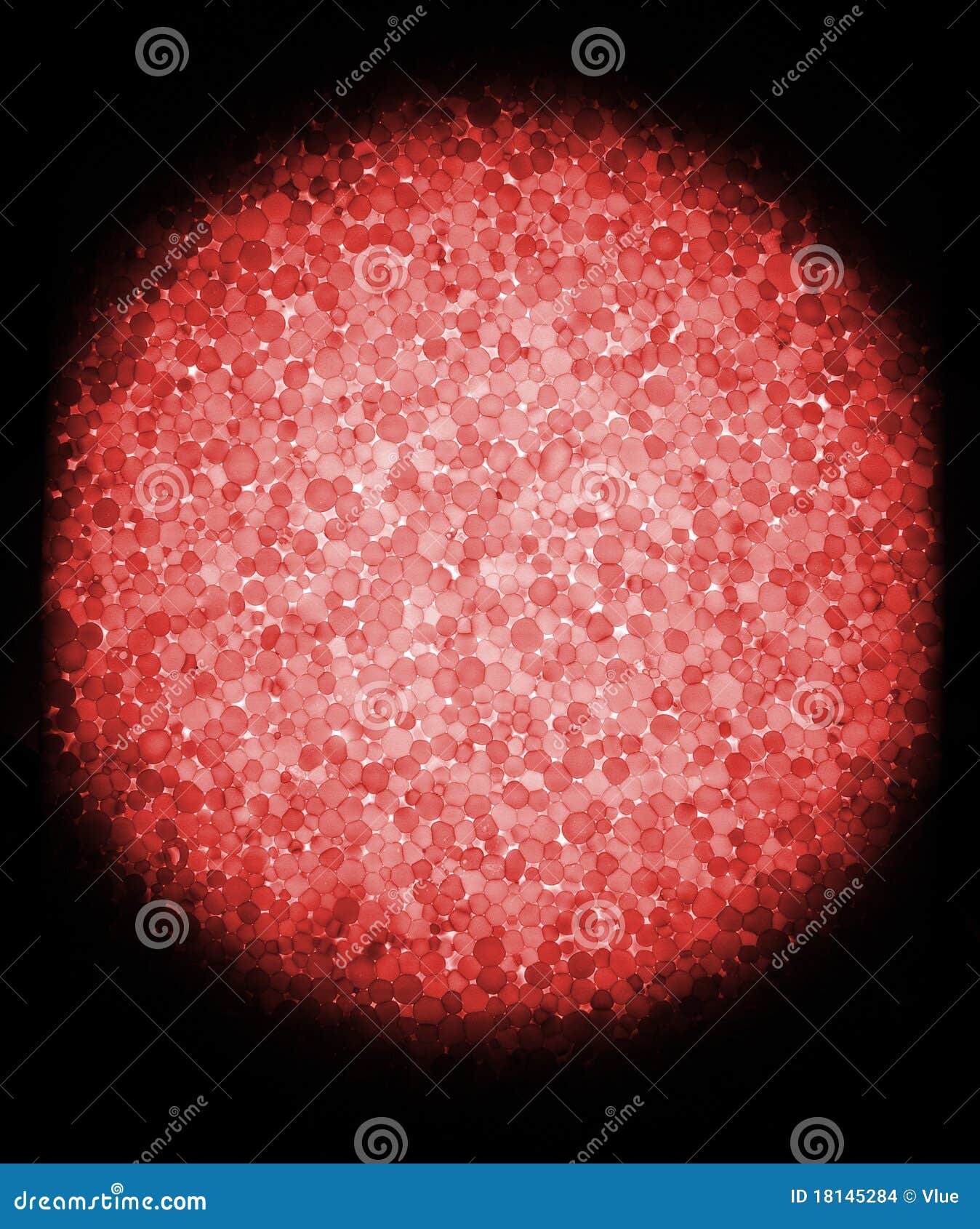 Red Cells stock photo. Image of close, closeup, biology - 18145284